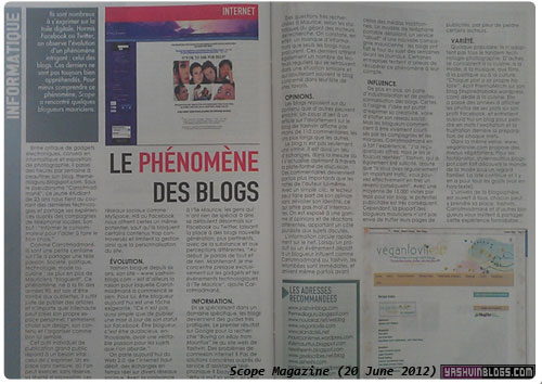 “Le phénomène des blogs”, à lire sur Weekend Scope – Yashvinblogs